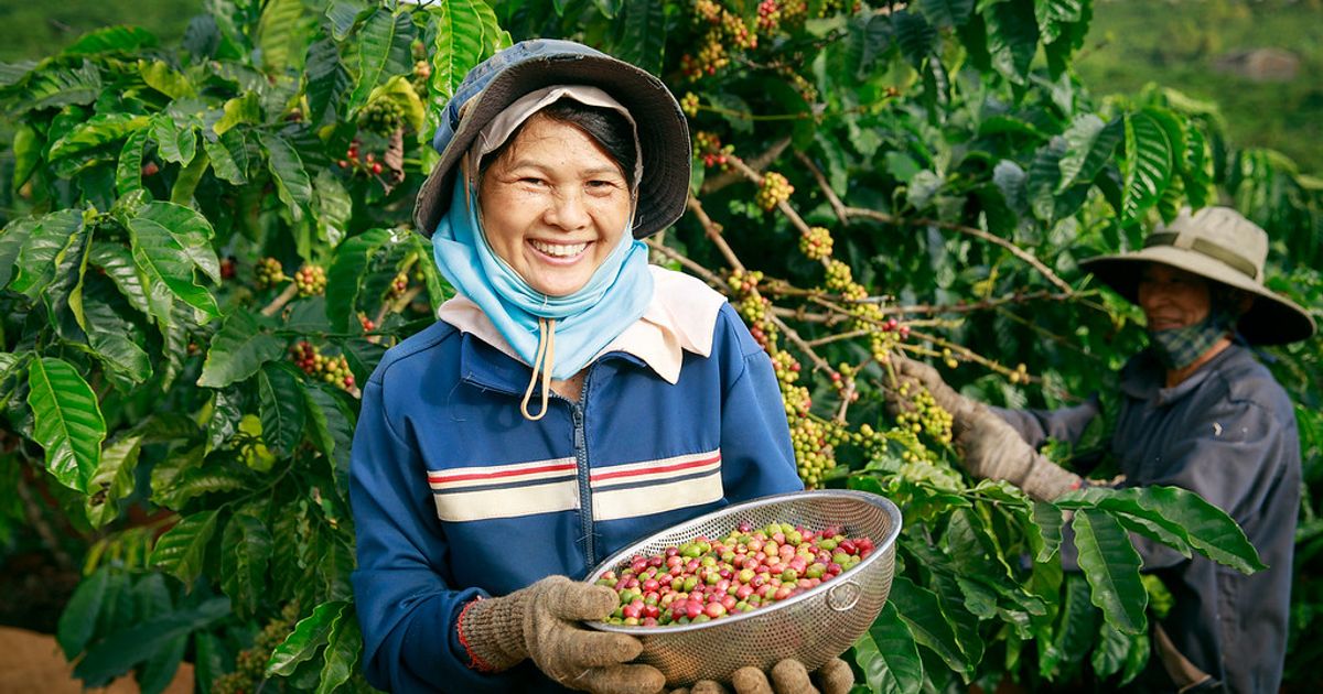 Vietnam agri news update – June 2025 | Agroberichten Buitenland